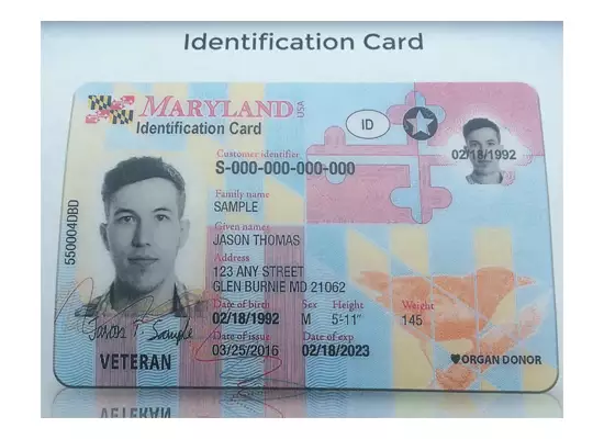 Buy Maryland Driver License and ID Card | Pacific Document Agency